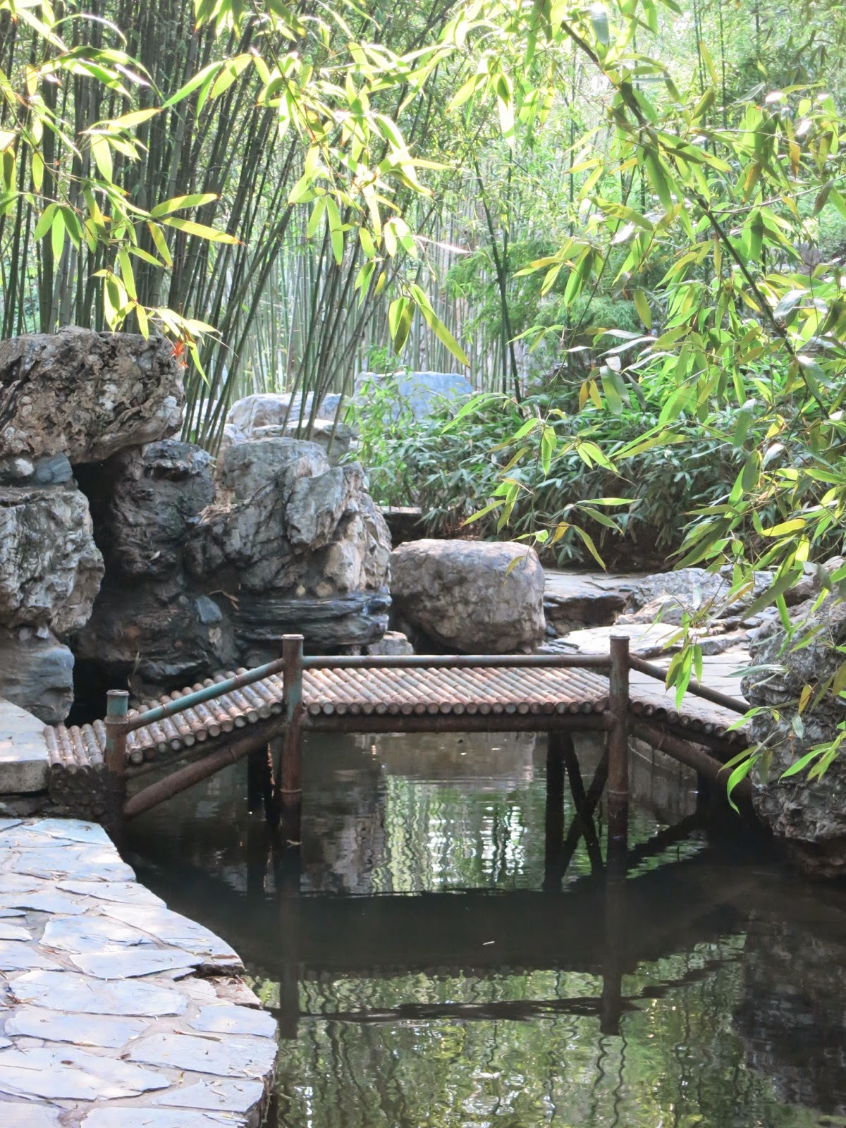 Becky in Beijing: Purple Bamboo Park